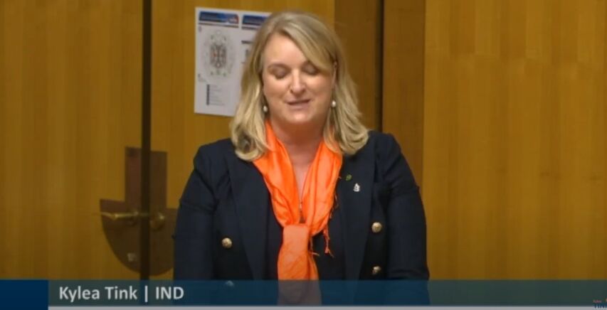 Tink bill seeks to end long-term refugee detainment - North Sydney Sun